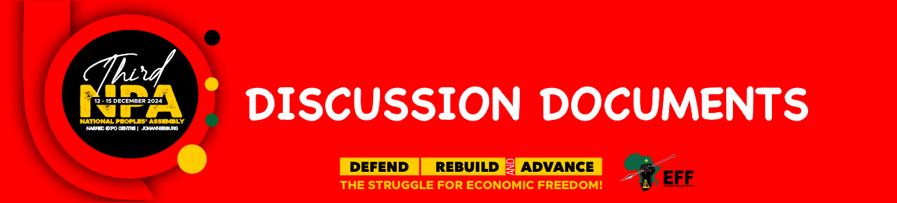 3rd NPA Resolution – Economic Freedom Fighters