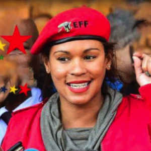Provincial Command Teams – Economic Freedom Fighters